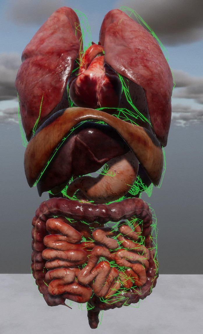 SofaUnity - DLC - 3D Organs - InfinyTech3D